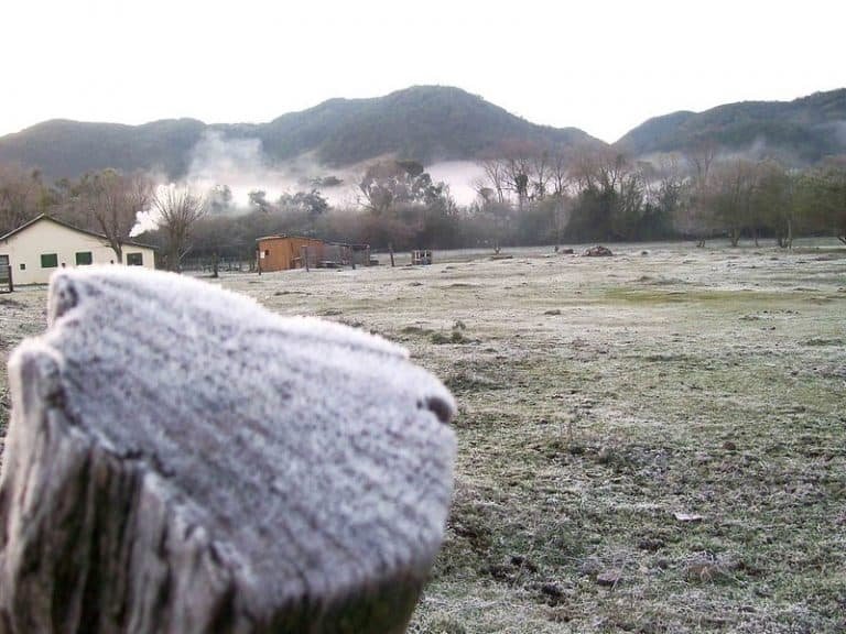 Brazilian winter: how cold does it really get? | Tripster Panda
